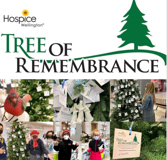 Hospice Wellington’s Tree of Remembrance 2022 | 91.5 The Beat
